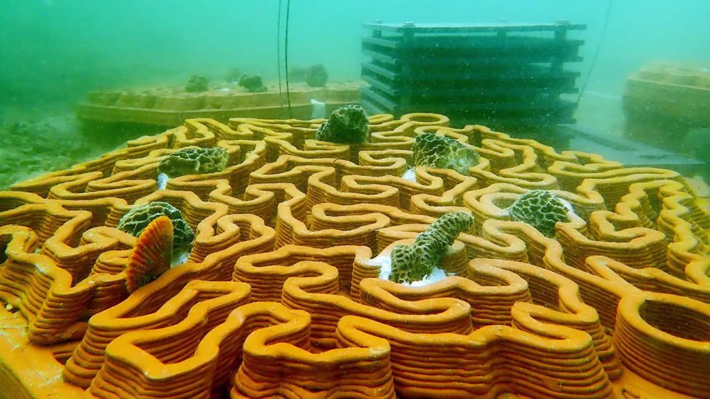 These 3D printed tiles are helping restore devastated coral reefs ...