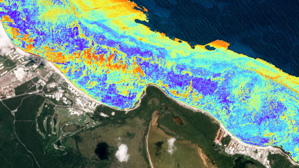 This map is the first-ever to show every single coral reef in the ...