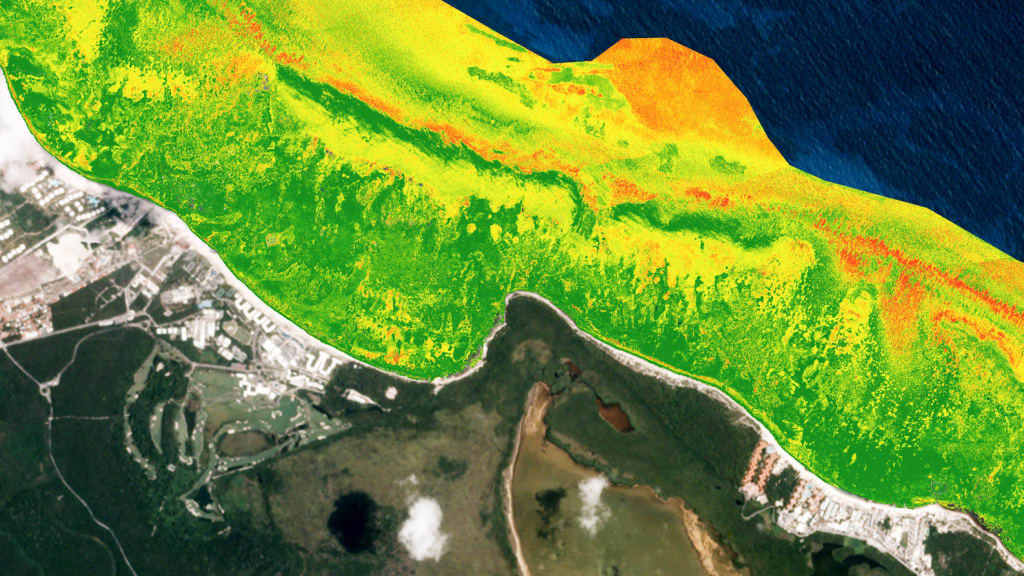 This map is the first-ever to show every single coral reef in the ...