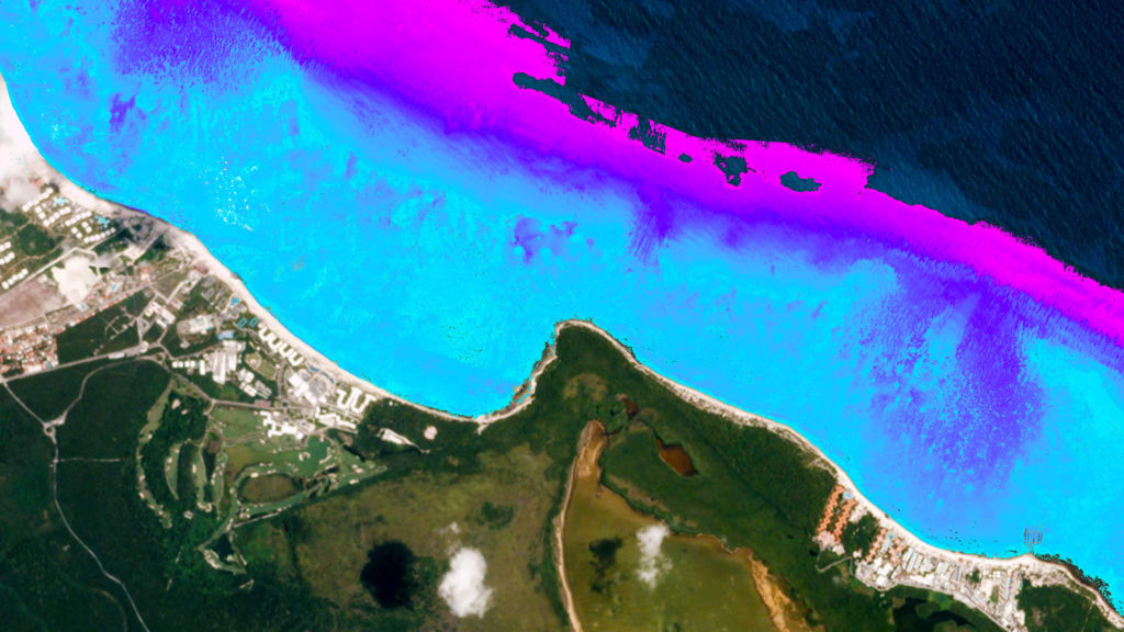 This map is the first-ever to show every single coral reef in the ...