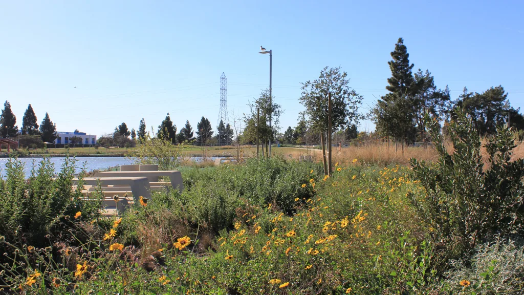L.A. loses 100 billion gallons of water a year. This park is helping ...