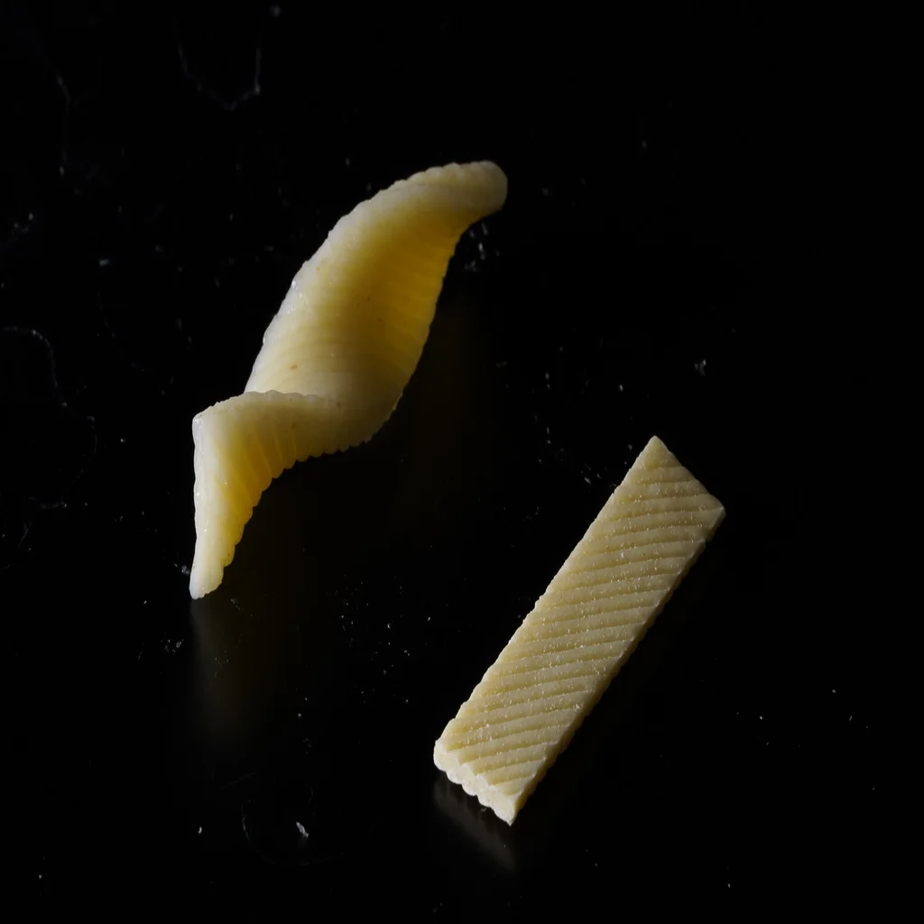 Watch this flat-pack pasta transform into shapes as it boils - Fast Company