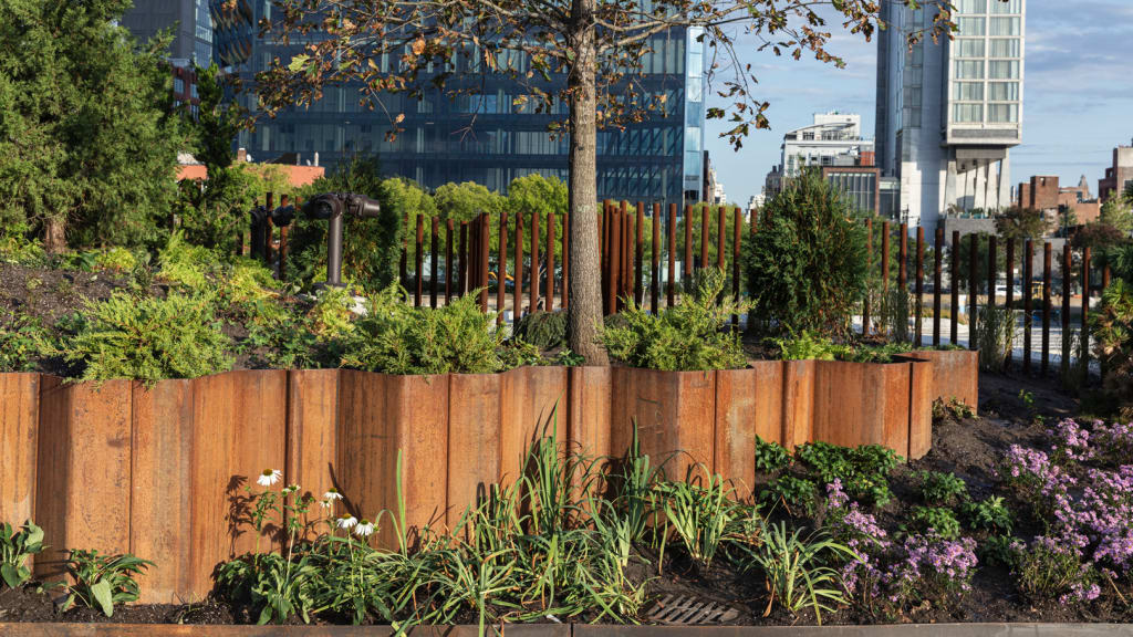How the giant trees got to New York's new island park - Fast Company