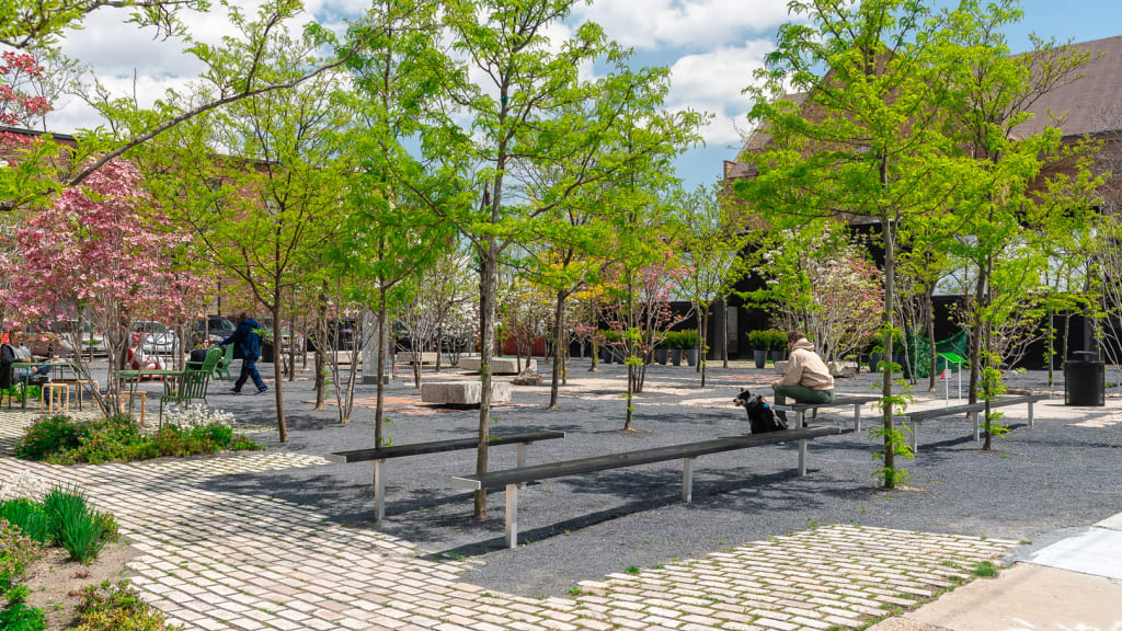 Meet the landscape architect turning Superfund sites into must-see ...