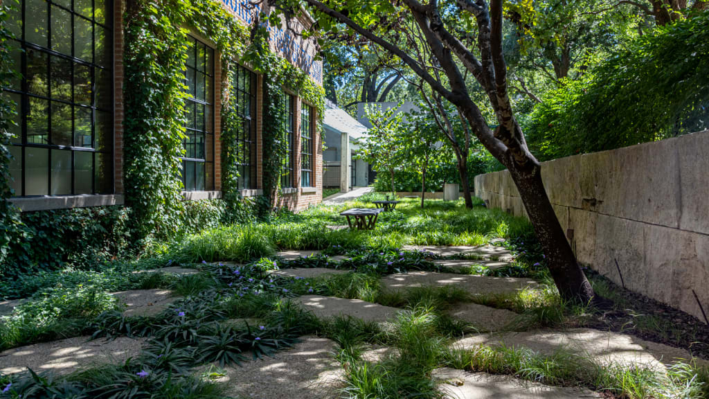 landscape architect at work