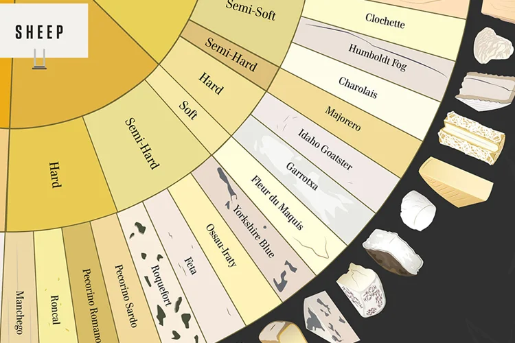 Infographic: How To Tell The Difference Between 66 Varieties Of Cheese ...