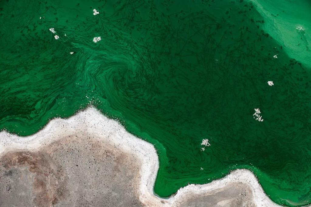 The amazing aerial shots of a photographer who hates heights - Fast Company