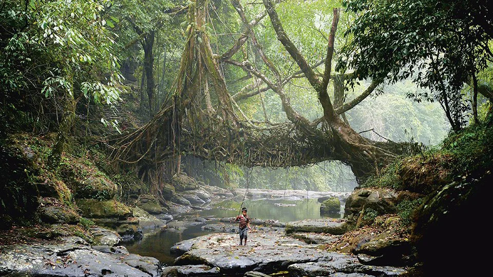 What indigenous design could teach us about surviving climate change ...