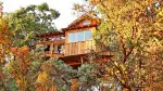 Your Childhood Dream Home: The Extreme Treehouses Of "Treehouse Masters ...