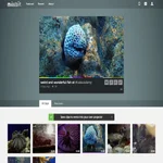 MixBit, The New App From YouTube's Founders, Aims To Turn Everyone Into ...