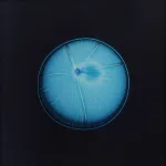 High Art: A Beautiful, Microscopic Look At Cocaine, MDMA, And Other ...