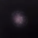 High Art: A Beautiful, Microscopic Look At Cocaine, MDMA, And Other ...