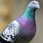 The First Computers, Lasers, Robots, And More: Ancient Innovations From ...