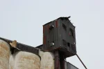 Can These Eerie, Abandoned Grain Silos Help Save Buffalo? - Fast Company