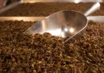 Inside The Edible Insect Industrial Complex - Fast Company