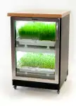 Turn Your Kitchen Into A Garden With This Mini-Fridge-Sized Electric ...