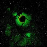 Strangely Beautiful Photos Of Toxic Slime From A Disgustingly Polluted ...