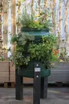 This Tiny Vertical Garden Has A Built-In Composter, So You Can Feed It ...