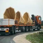 These Giant Forest Megaphones Amplify The Sounds Of The Woods - Fast ...