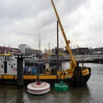 This Forest Will Grow Floating In Rotterdam's Harbor - Fast Company