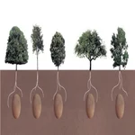 Instead Of A Coffin, Be Buried In A Biodegradable Pod That Helps Grow A ...