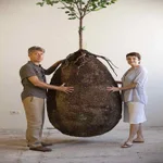 Instead Of A Coffin, Be Buried In A Biodegradable Pod That Helps Grow A ...