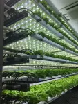 Take A 3D Tour Of A Vertical Farm Packed Inside A Shipping Container ...