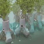 These Pots Are Designed To Create Mangrove Forests That Will Protect ...