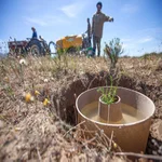 This Biodegradable Paper Donut Could Let Us Reforest The Planet - Fast ...