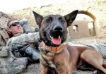 Soldier Dogs: The Four-Legged Heroes Of Iraq And Afghanistan - Fast Company
