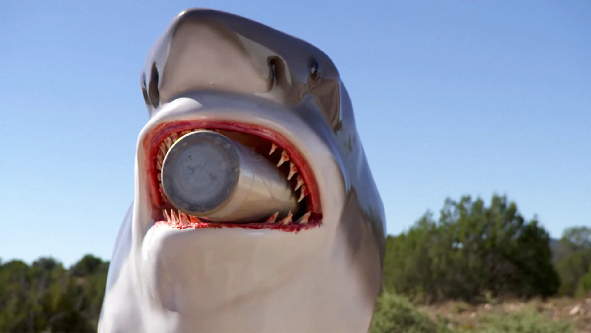 Mythbusters Shooting Gun MythBusters' Cannonball Rips Through House,