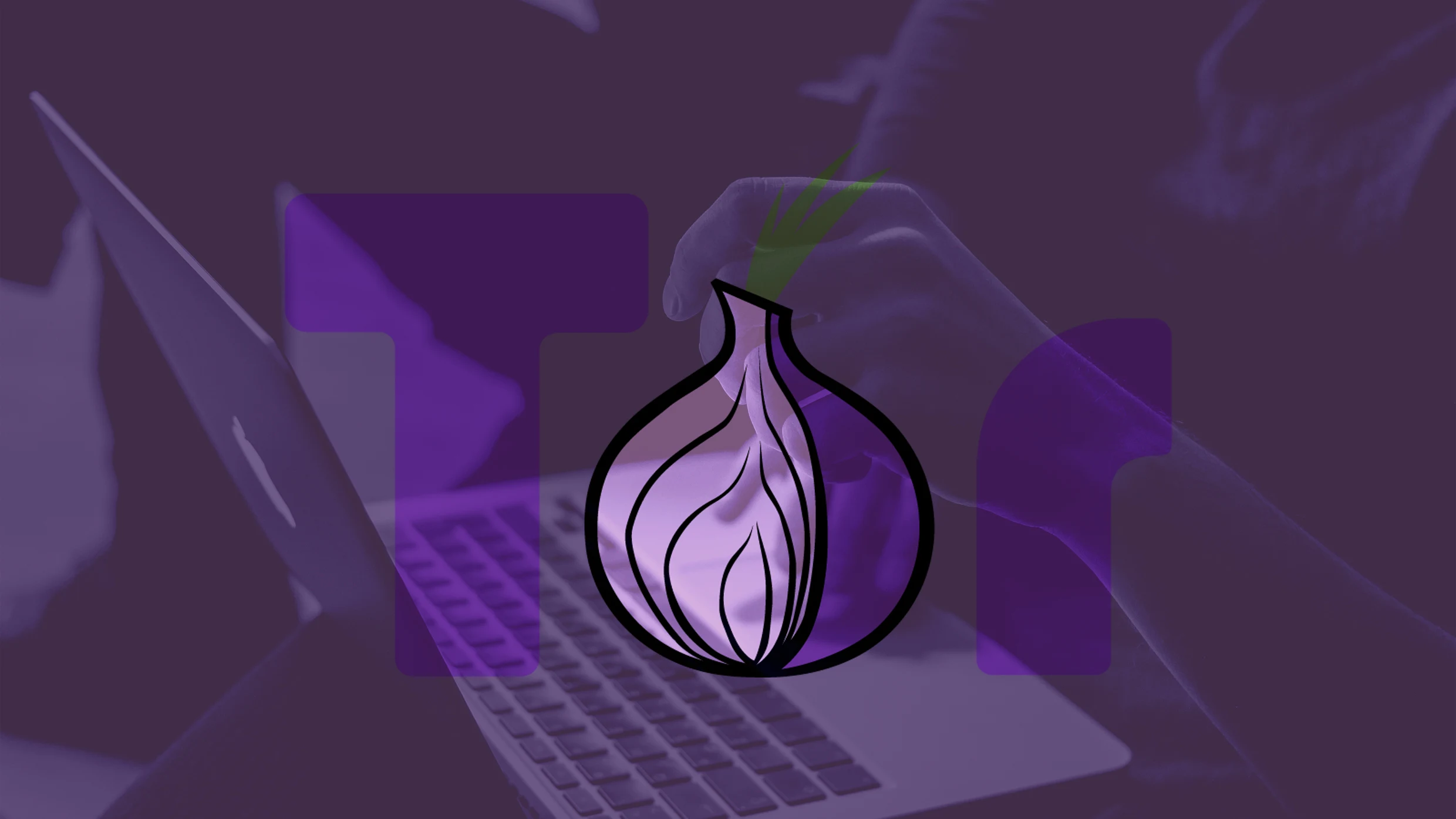 Tor is more popular than ever in our security-minded world - Fast Company