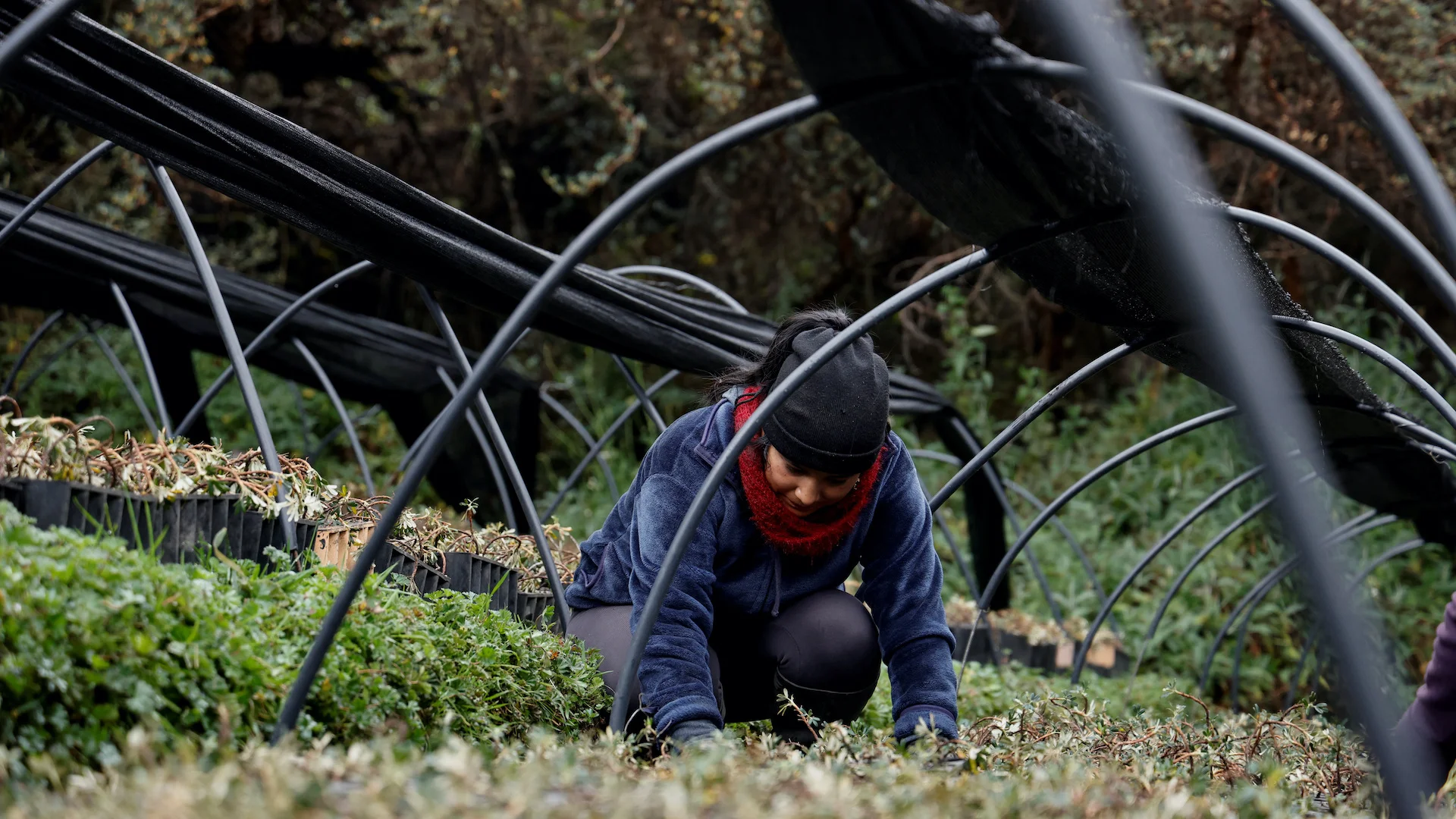 Amid a water crisis in Colombia and Ecuador, vital wetlands need saving ...