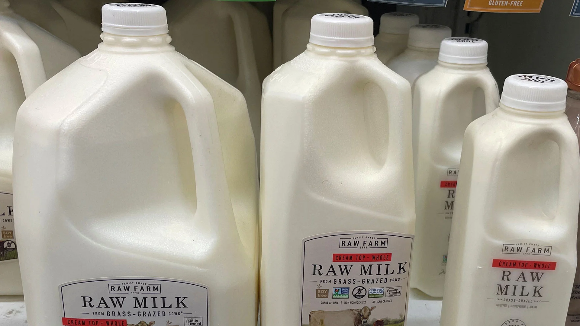 U.S. will begin nationwide bird flu testing of raw milk - Fast Company