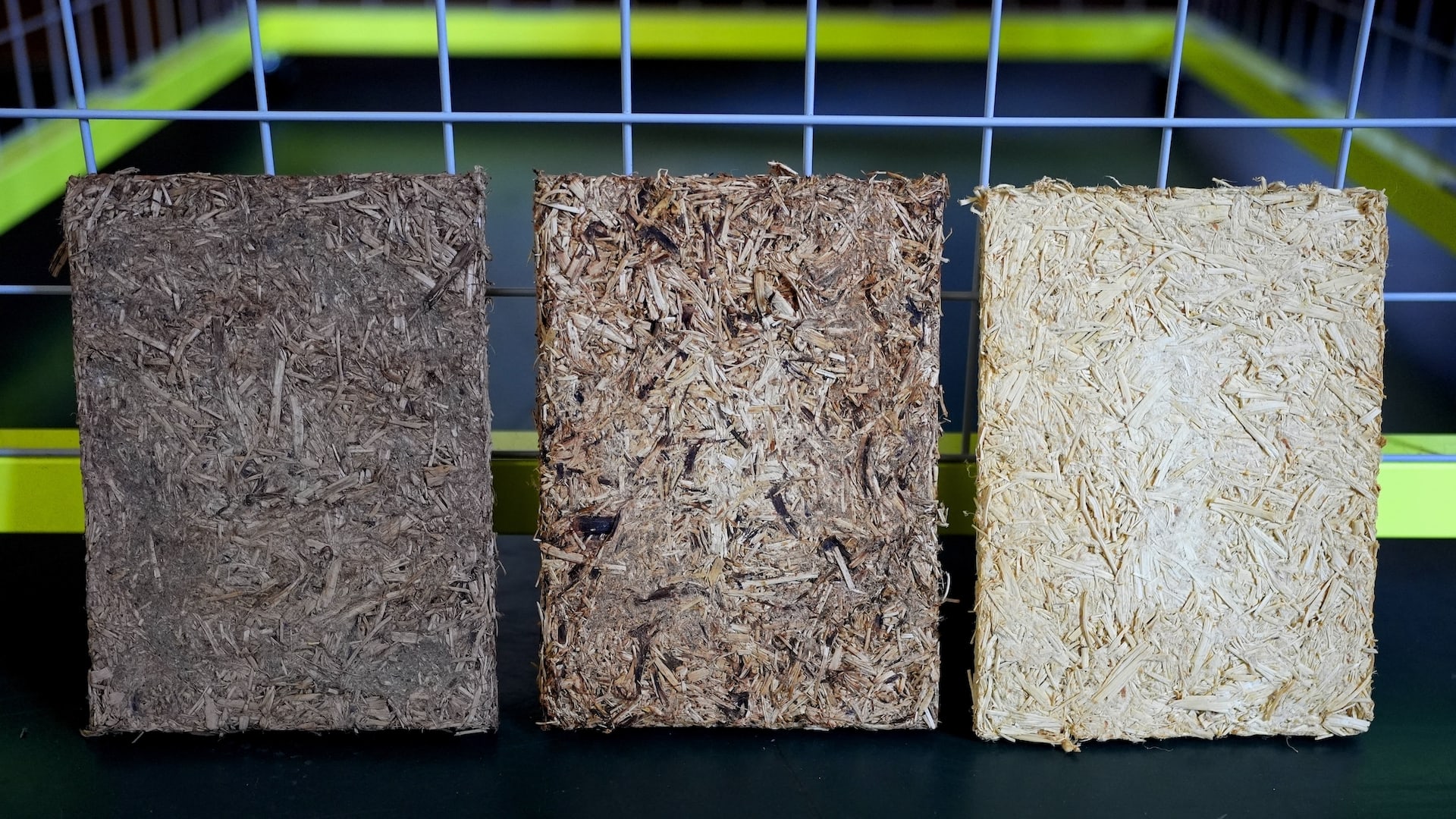 This German startup uses hops to reduce waste from beer and ...