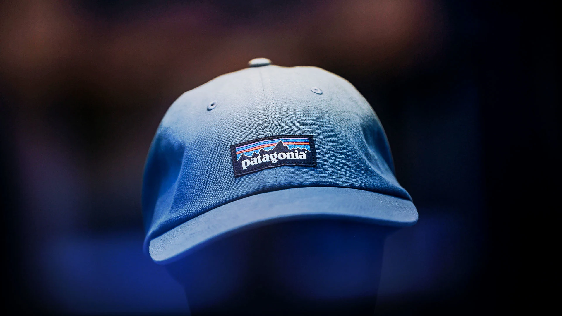 Patagonia layoffs 2024: CEO Ryan Gellert announces restructuring - Fast ...