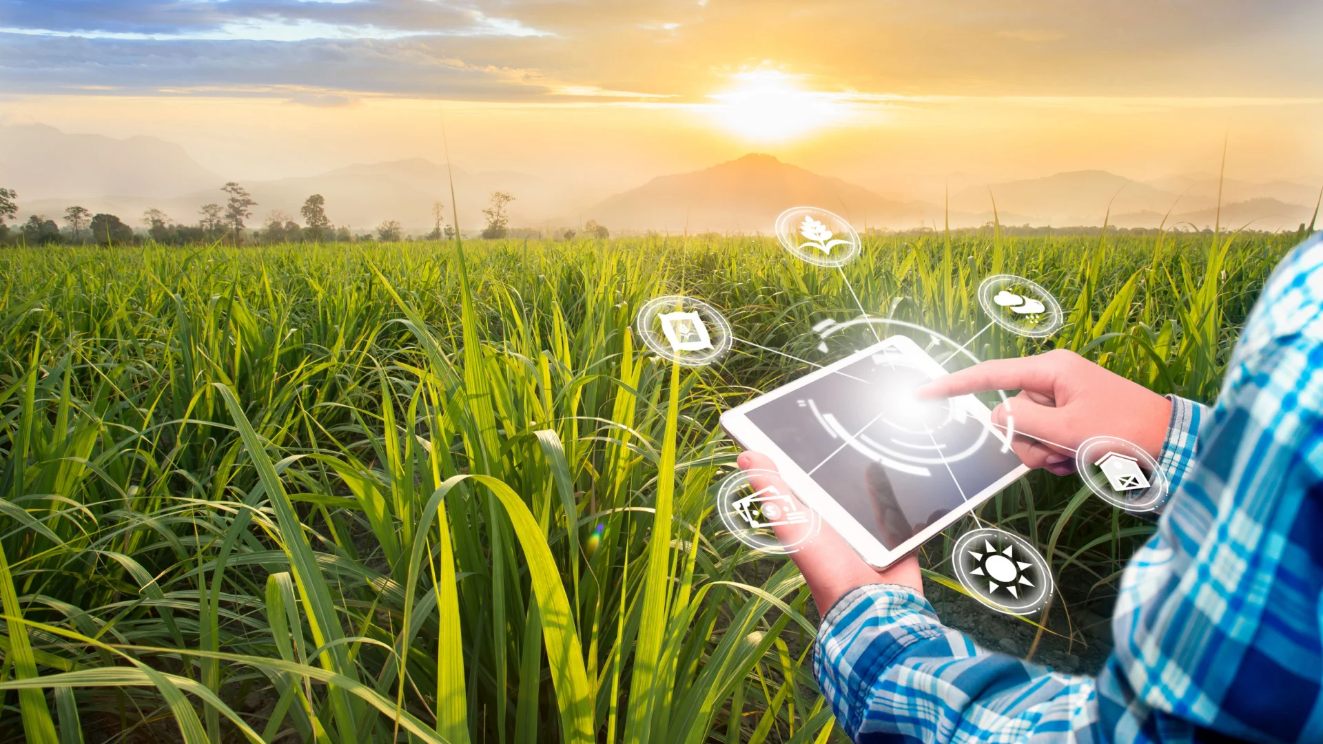 A sweet path to sustainability: U.S. Sugar’s journey toward tech-driven ...