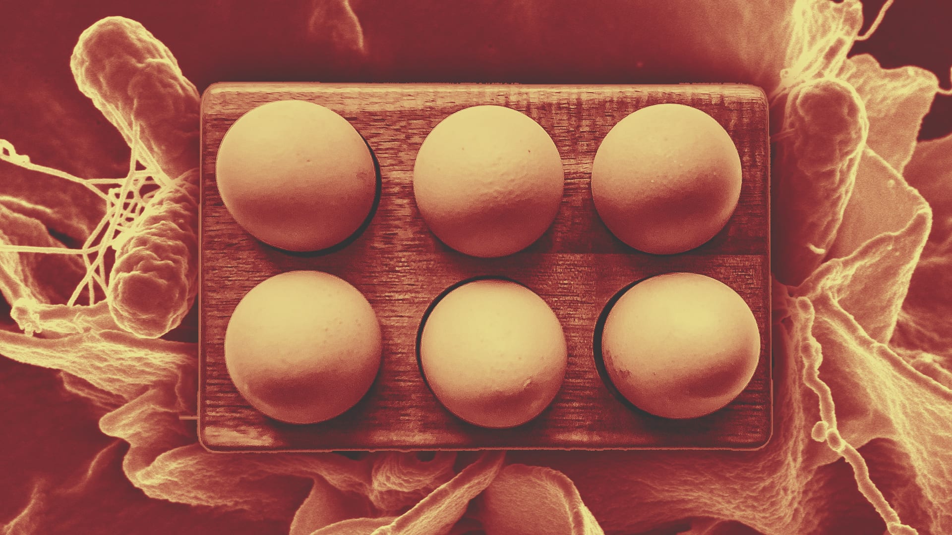 Major food recalls strike during Thanksgiving week - Fast Company