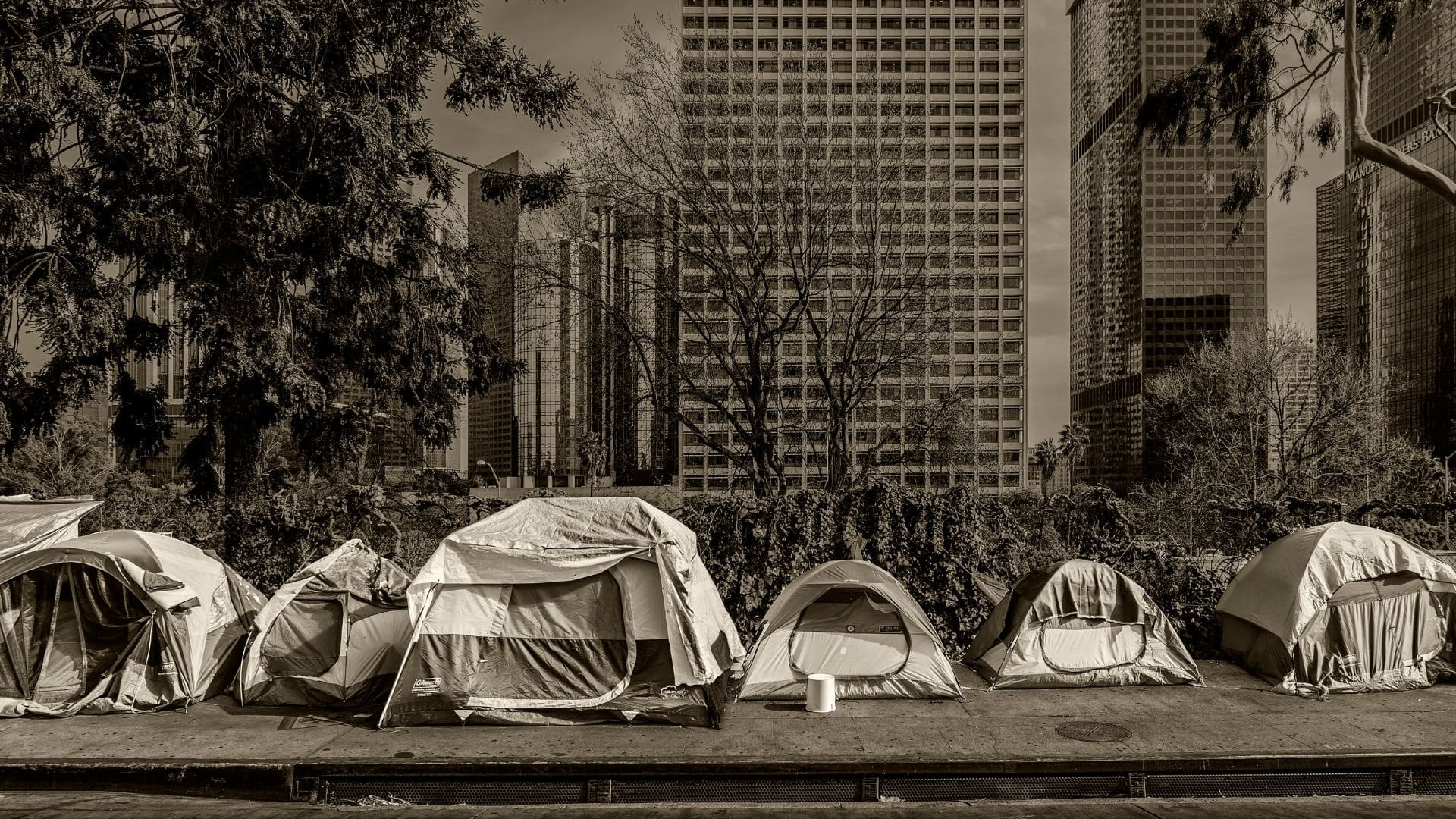 Bold solutions to end the homelessness crisis - Fast Company