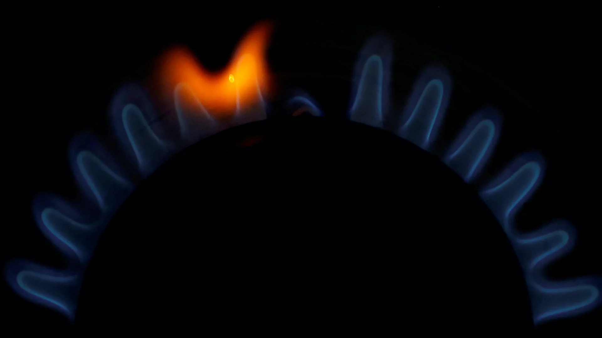 Trump might use an executive order to protect gas stoves - Fast Company