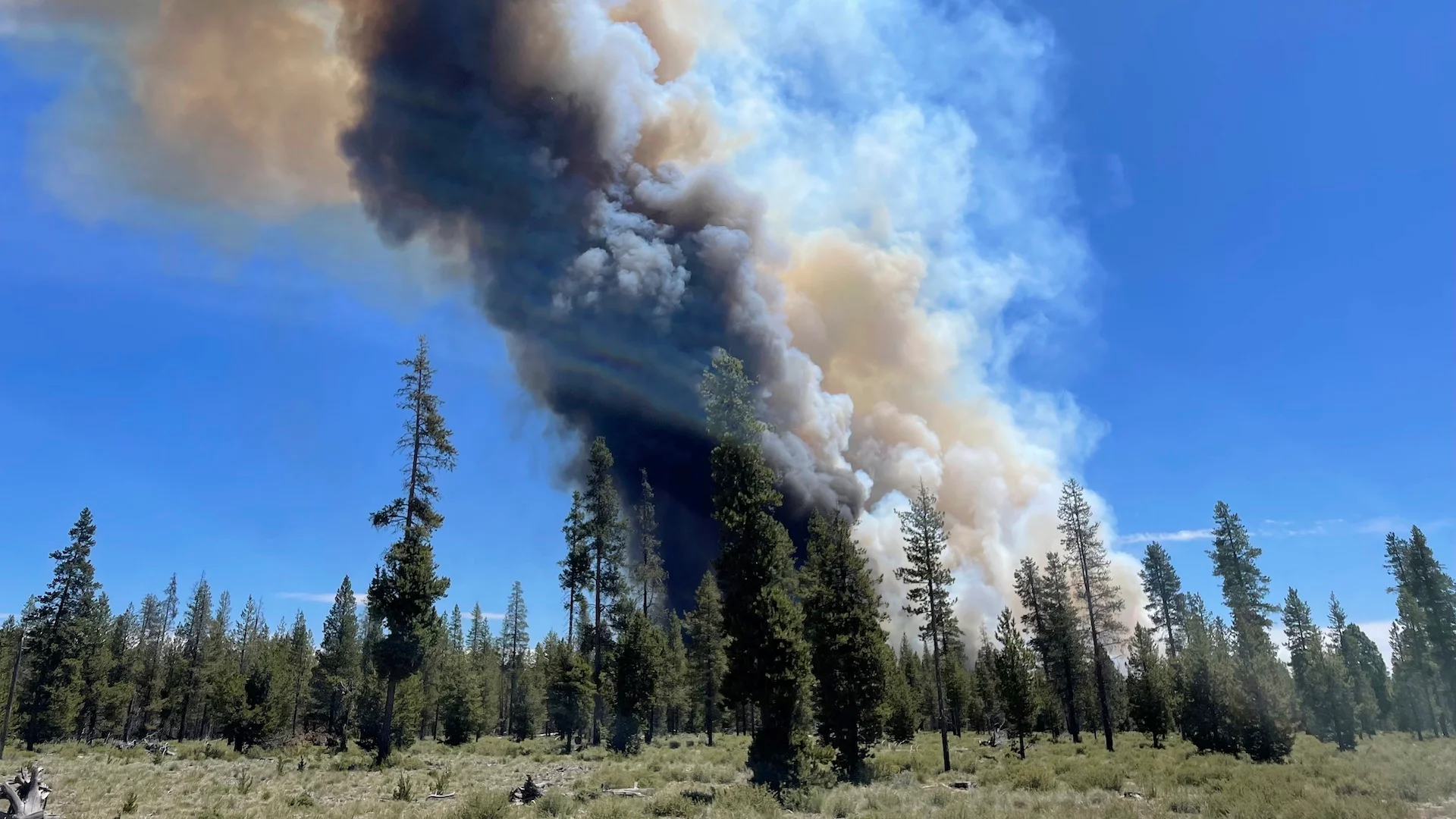 Oregon issues new 'wildfire hazard maps' for homeowners living in high ...