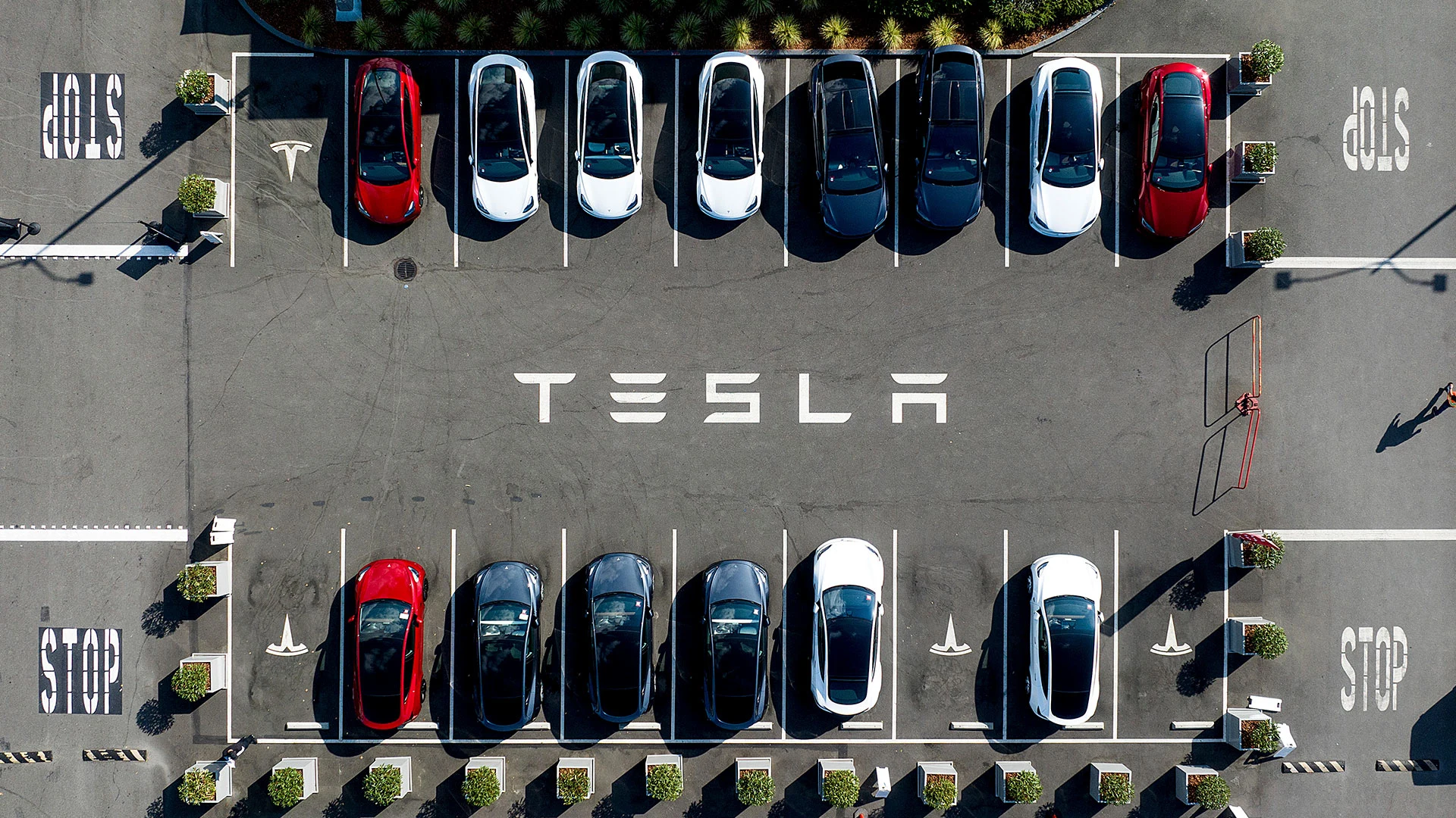 How Tesla could benefit from Musk’s war on the U.S. government - Fast ...