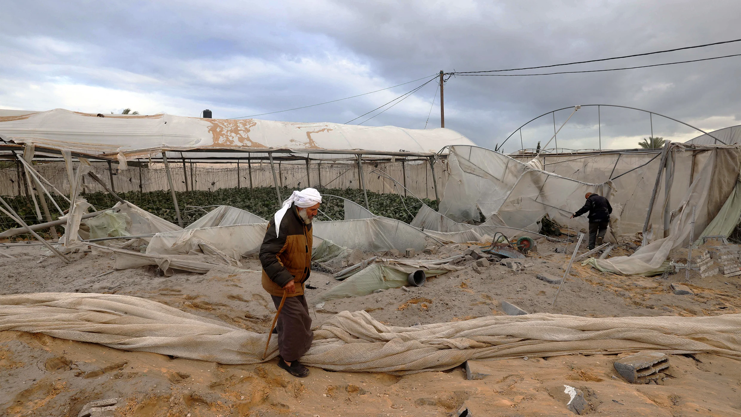 Gaza's agriculture system is highly damaged, satellite images show ...