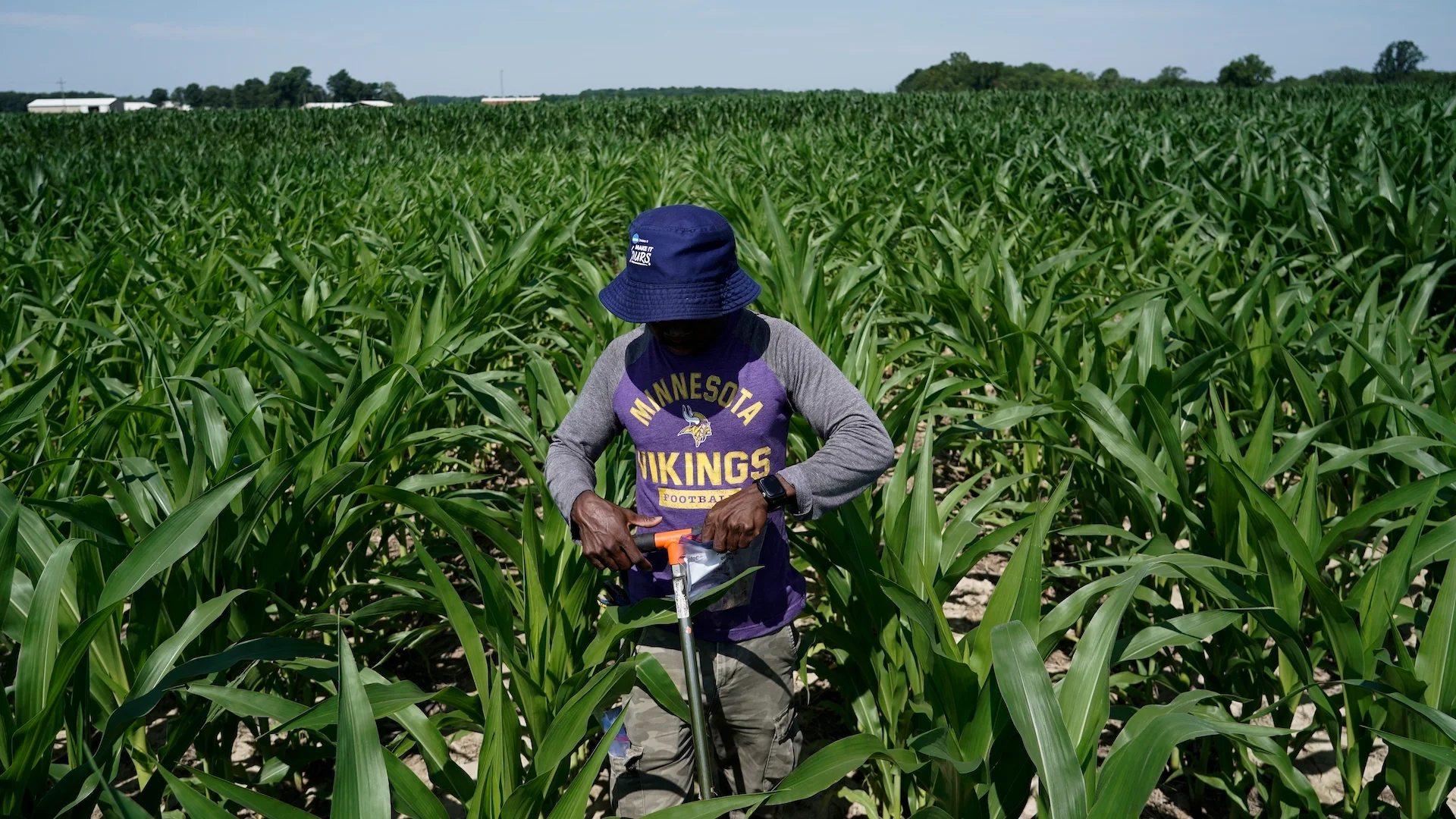 Funding cuts devastate agricultural researchers, farmers fighting ...