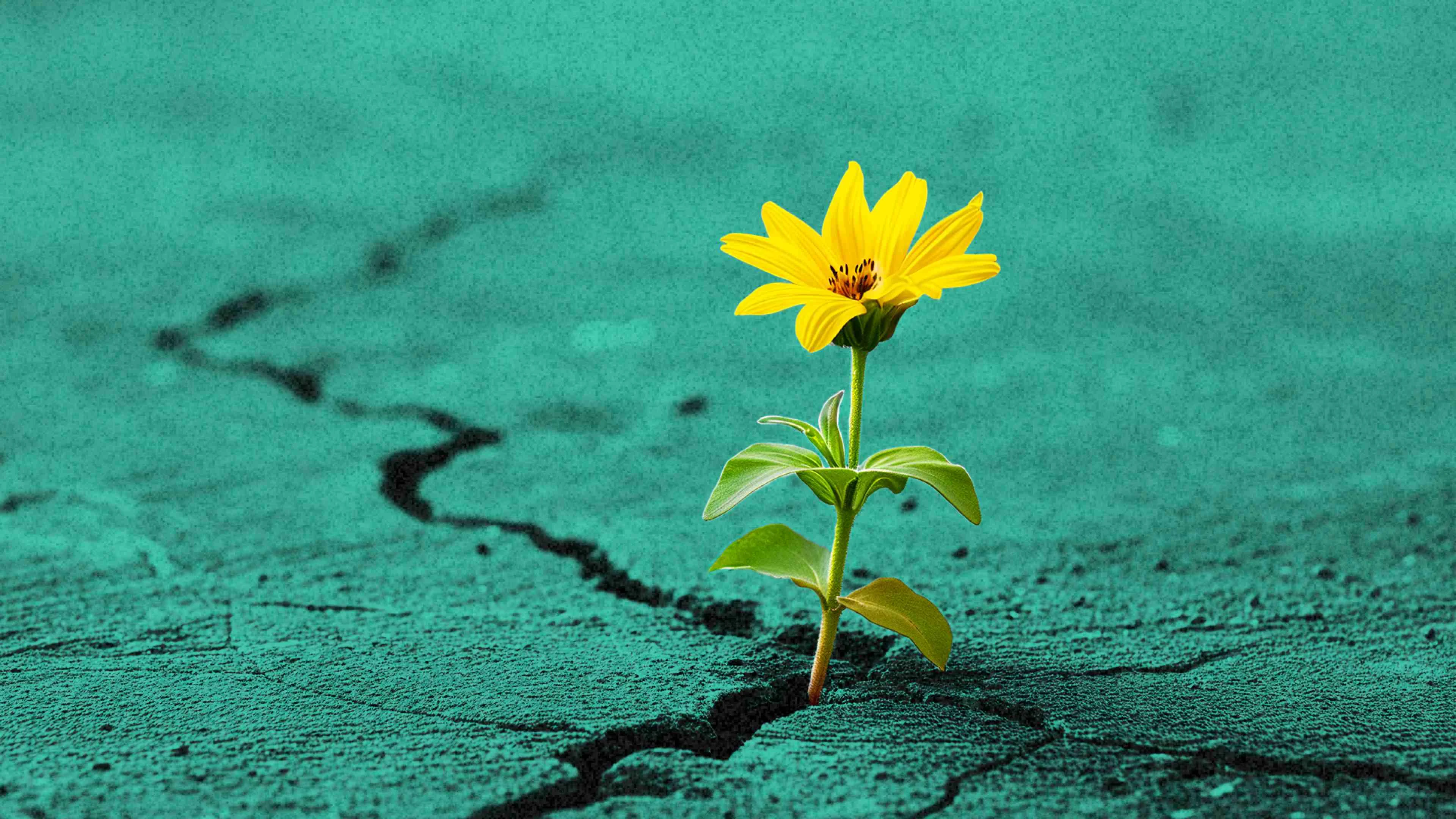 Strategies for improving your organization’s resiliency - Fast Company