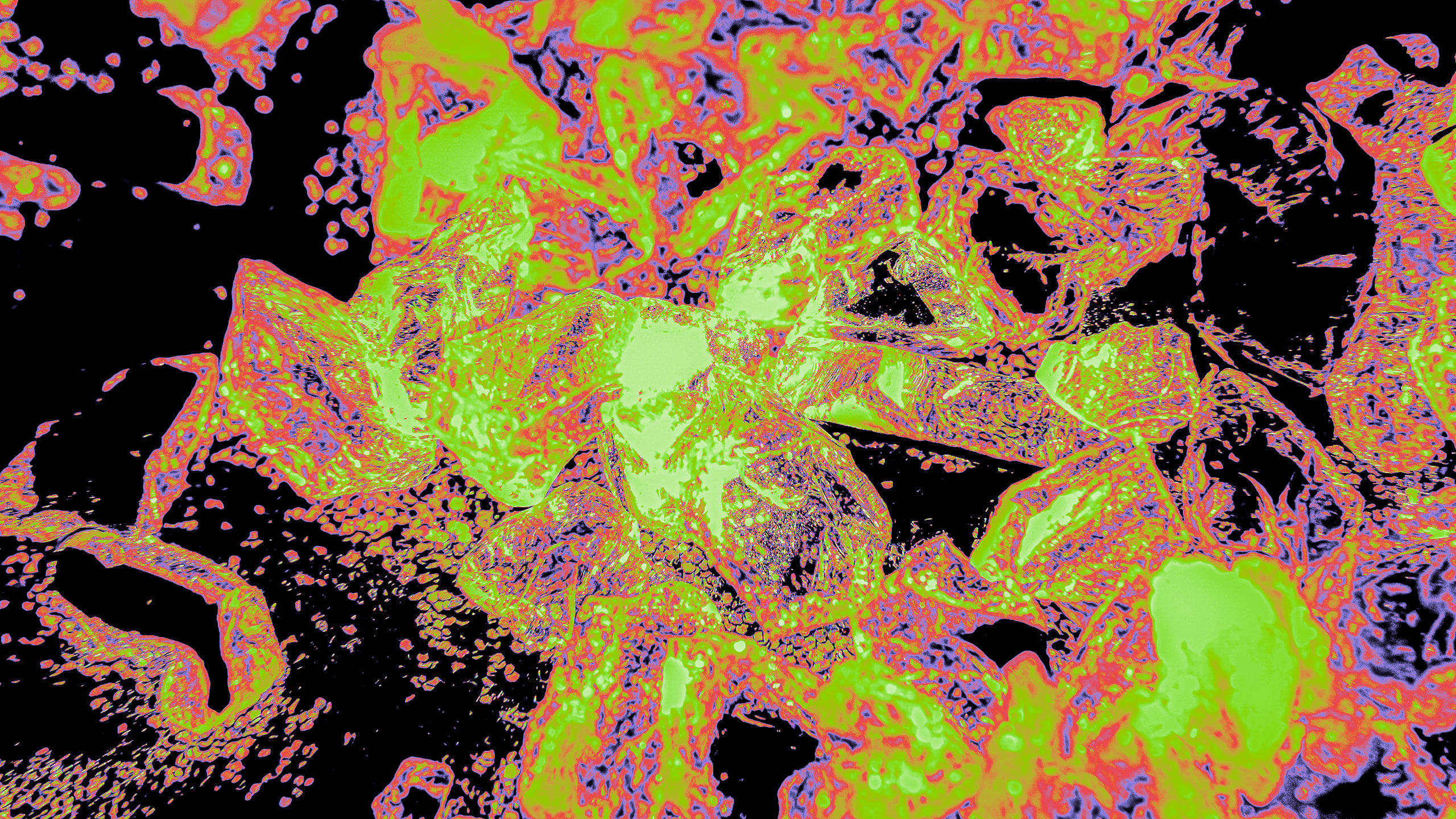 How machine learning can be used to identify microplastics - Fast Company