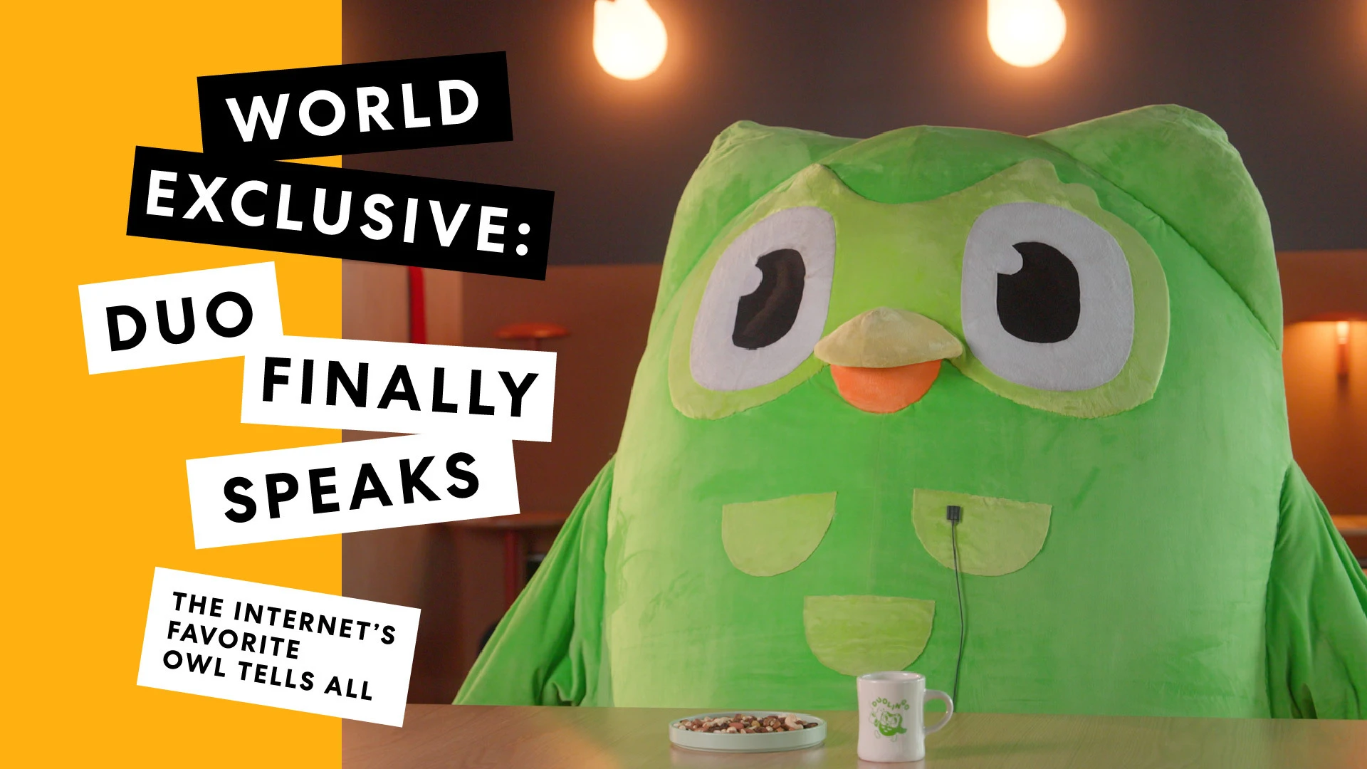 World exclusive: Duo finally speaks! The internet’s favorite owl tells ...