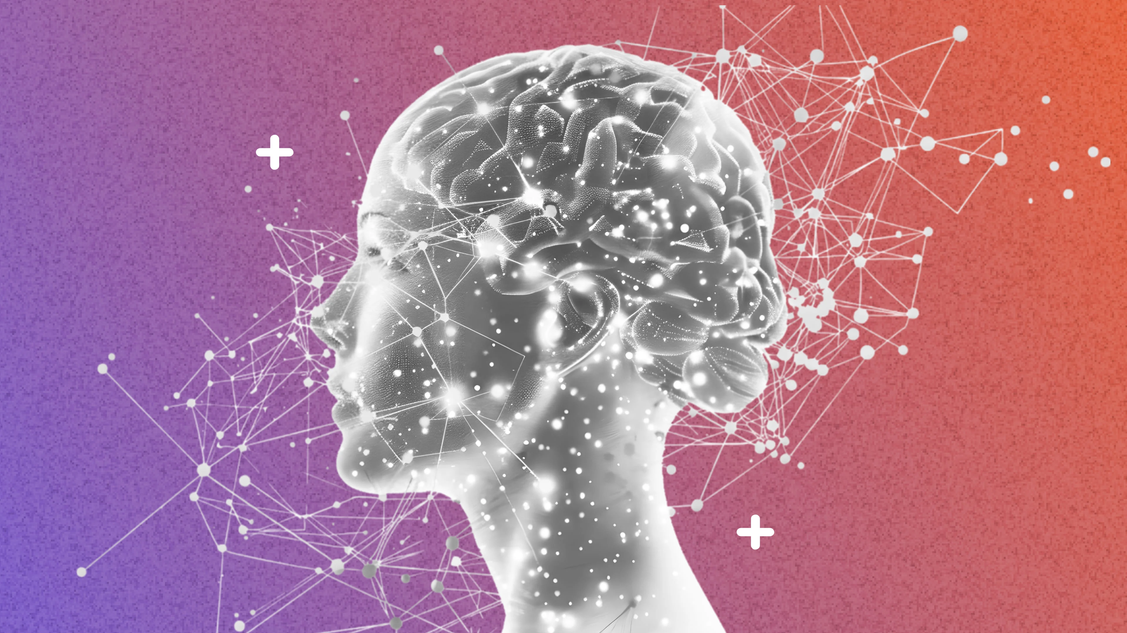 A mashup of CHRO and CTO equals CPO (chief productivity officer)