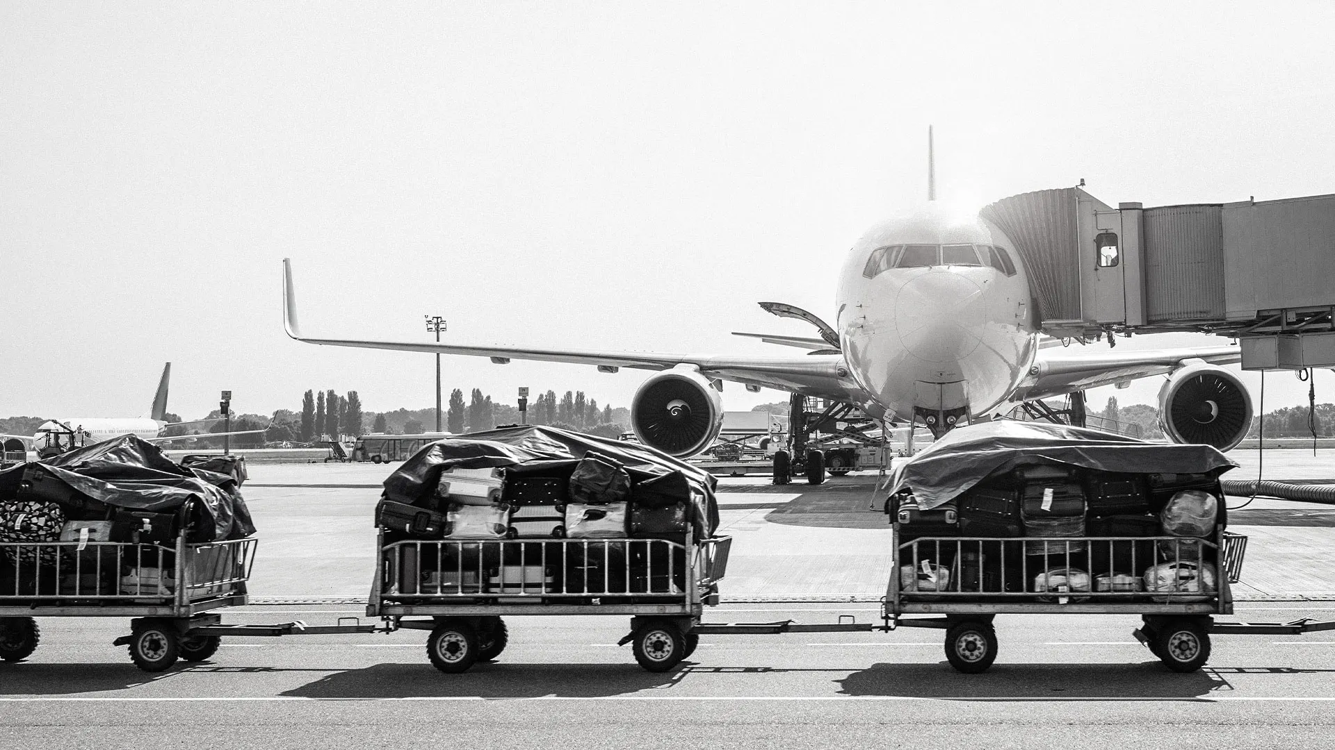 TSA adds new items to the banned list—and they might be in your ...