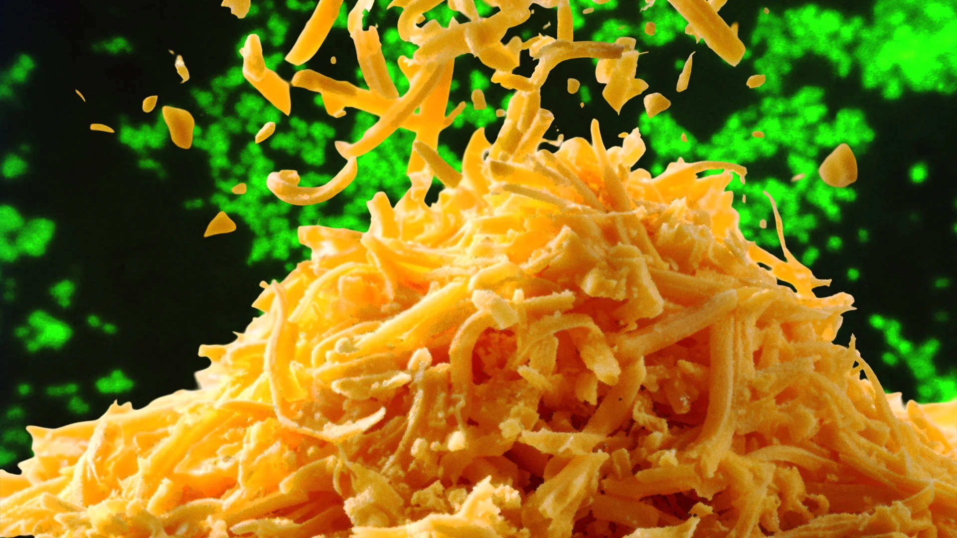 Cheese recalled over fears of Listeria, a potentially deadly bacteria ...